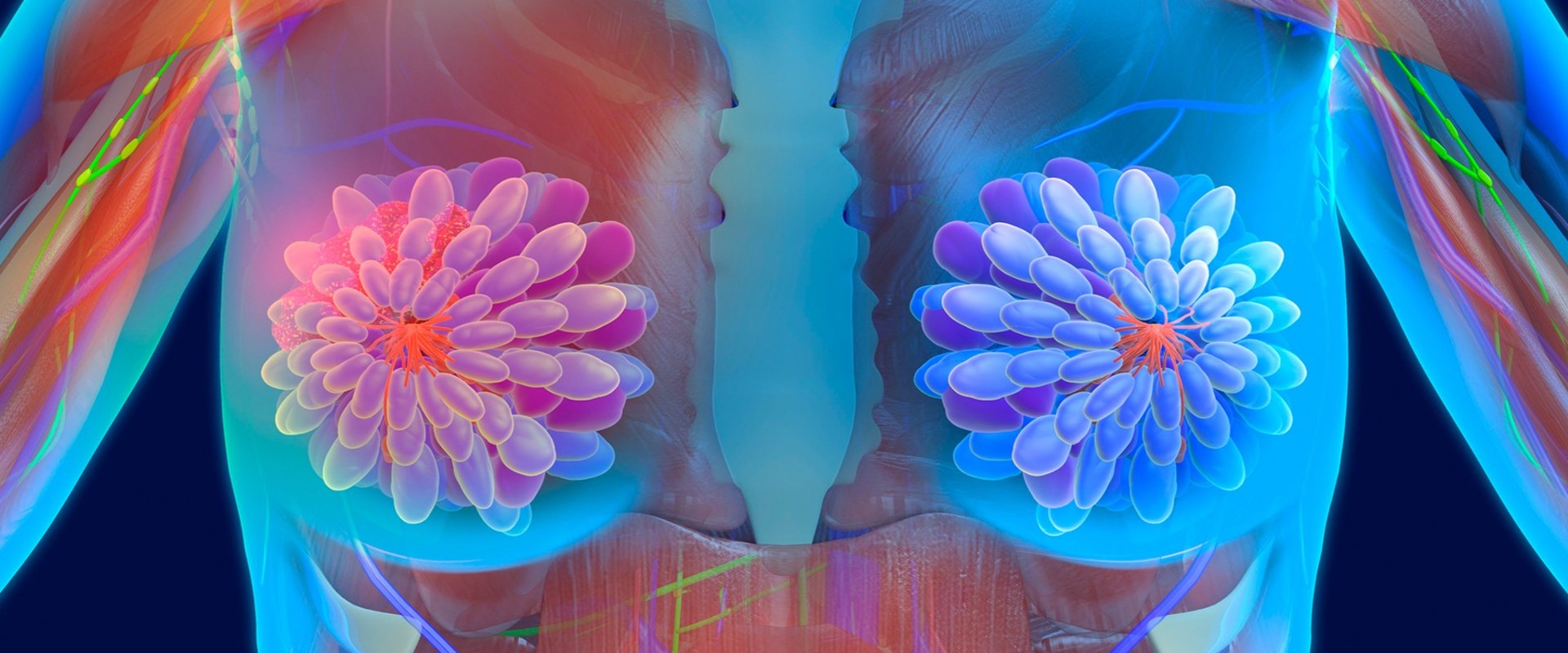 Understanding Hormone Replacement Therapy: Risks and Considerations